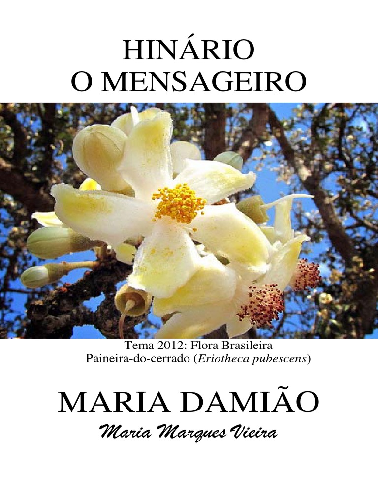 Maria Damiao - O Mensageiro | PDF | Maria, mãe de Jesus | Jesus