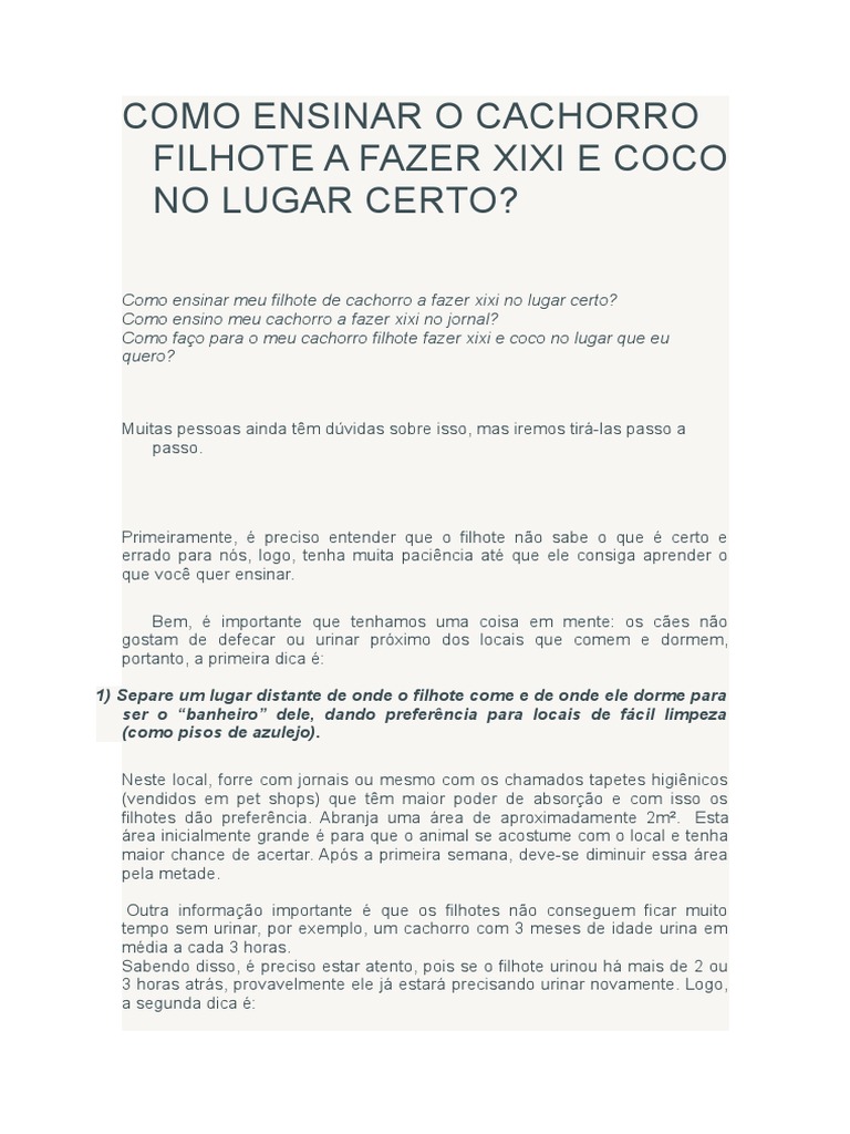 Como Ensinar o Cachorro Filhote A Fazer Xixi e Coco No Lugar Certo | PDF | Cães | Tempo