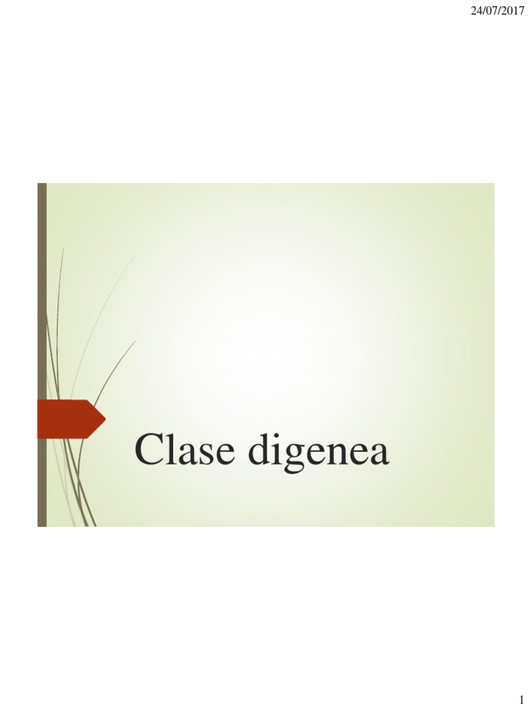 21. Clase Digenea | Anatomía | Zoología