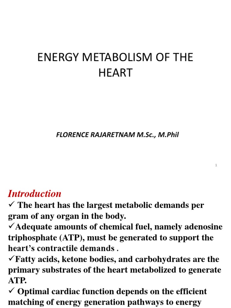 Heart Energy Metabolism Explained | PDF | Glycolysis | Adenosine ...