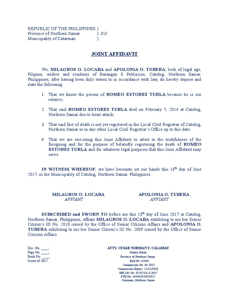 Joint Affidavit | PDF