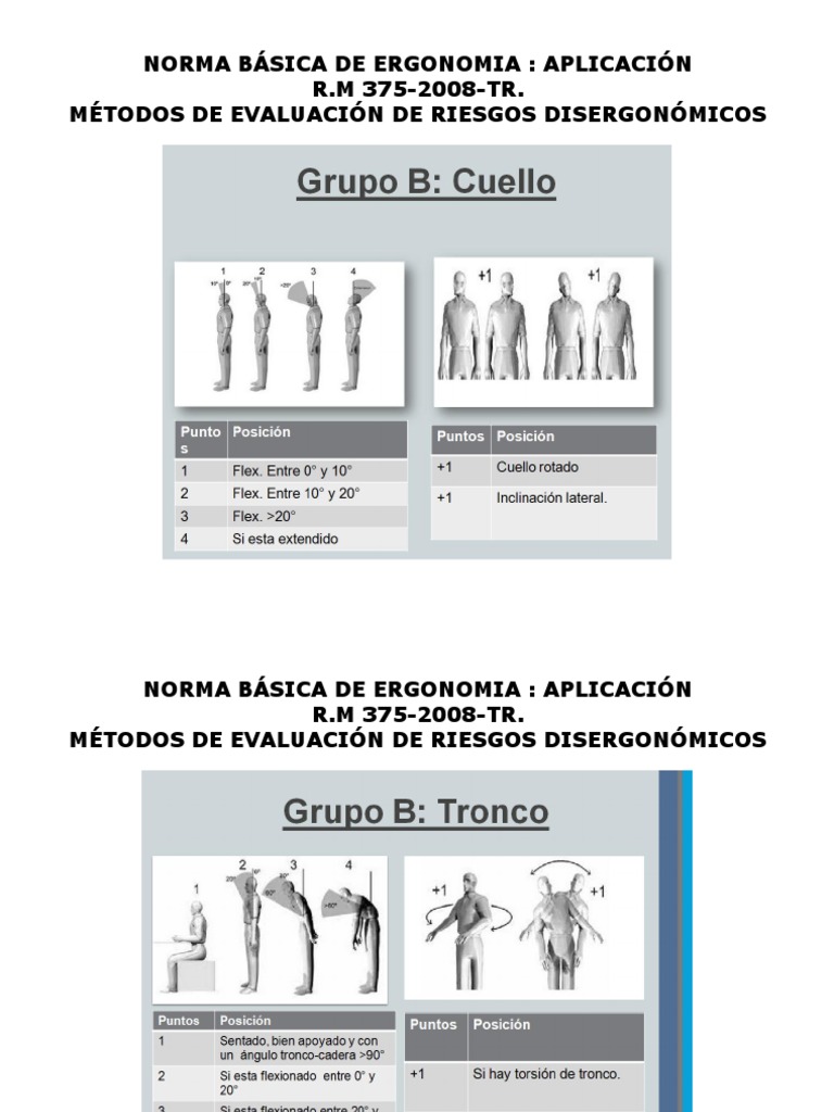 Aplicación de Ergonomia RM-375-2008-TR Ok | PDF | Factores humanos y ...