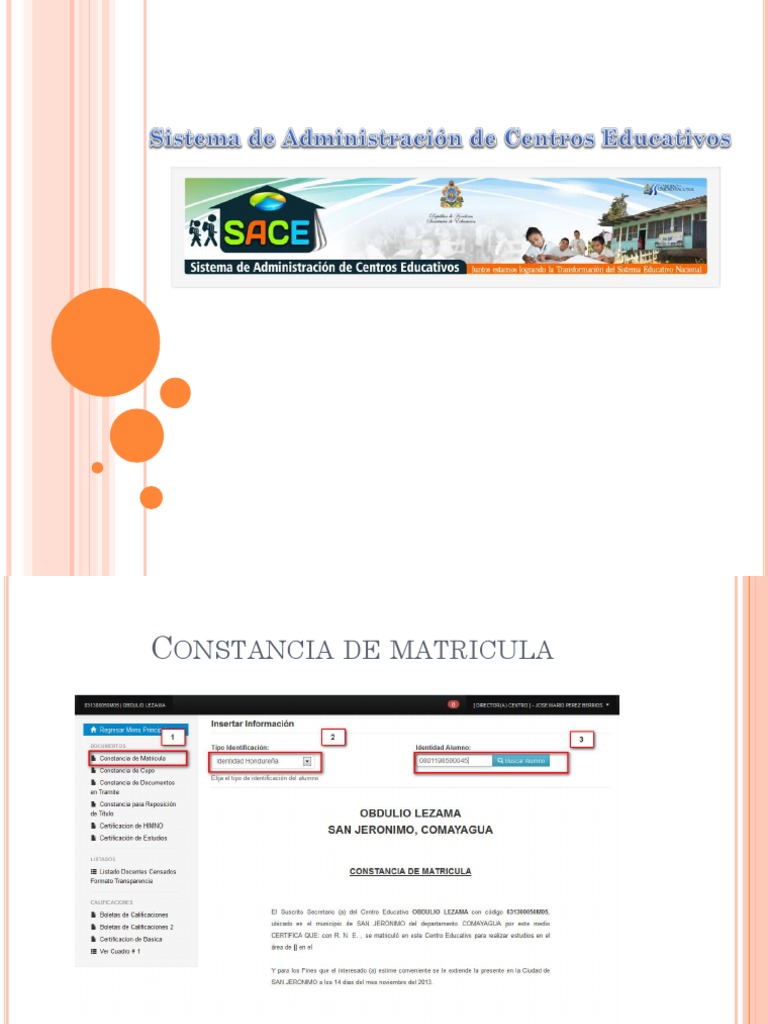 Paso Por Paso SACE Documentacion | PDF