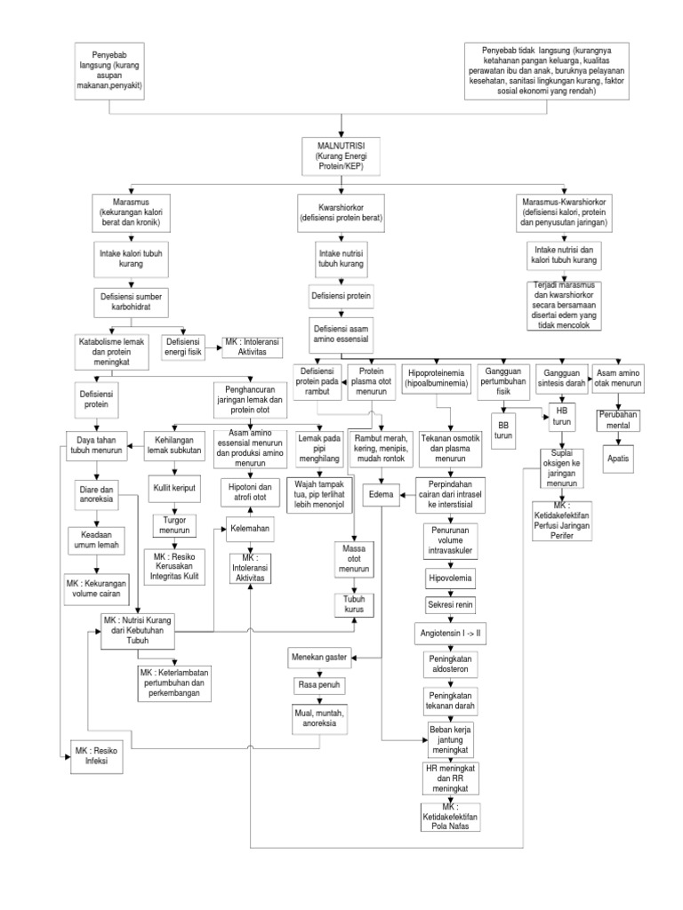 Pathway Malnutrisi | PDF