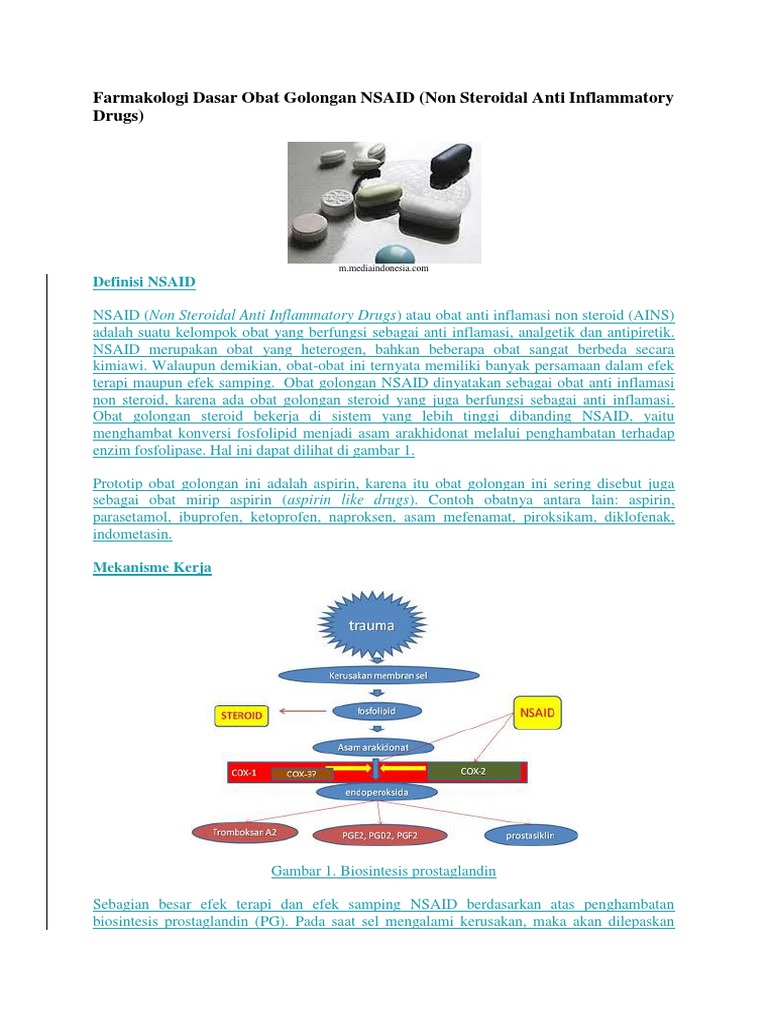 Farmakologi Dasar Obat Golongan NSAID | PDF