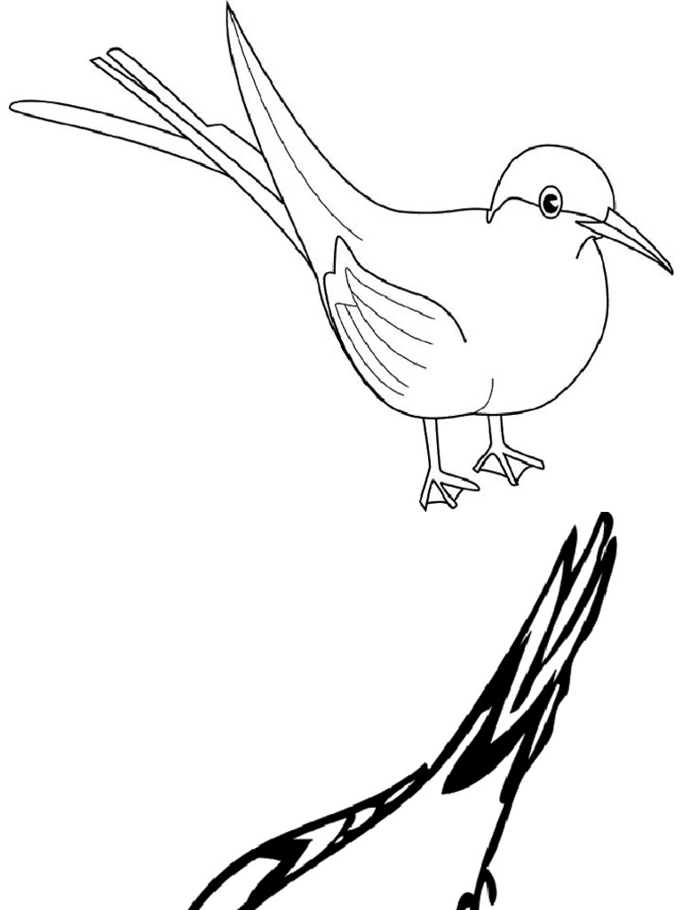 Pescarus Polar Planse de Colorat | PDF