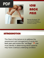 CORE Back Tool | PDF | Low Back Pain | Back Pain