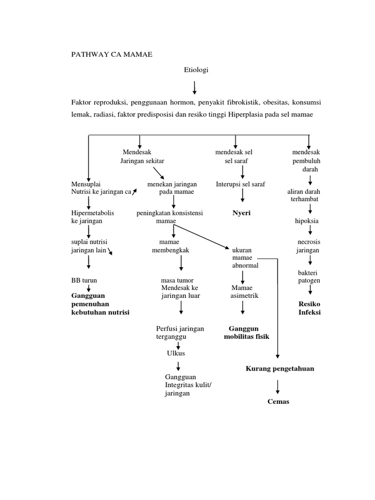 Pathway CA Mamae | PDF
