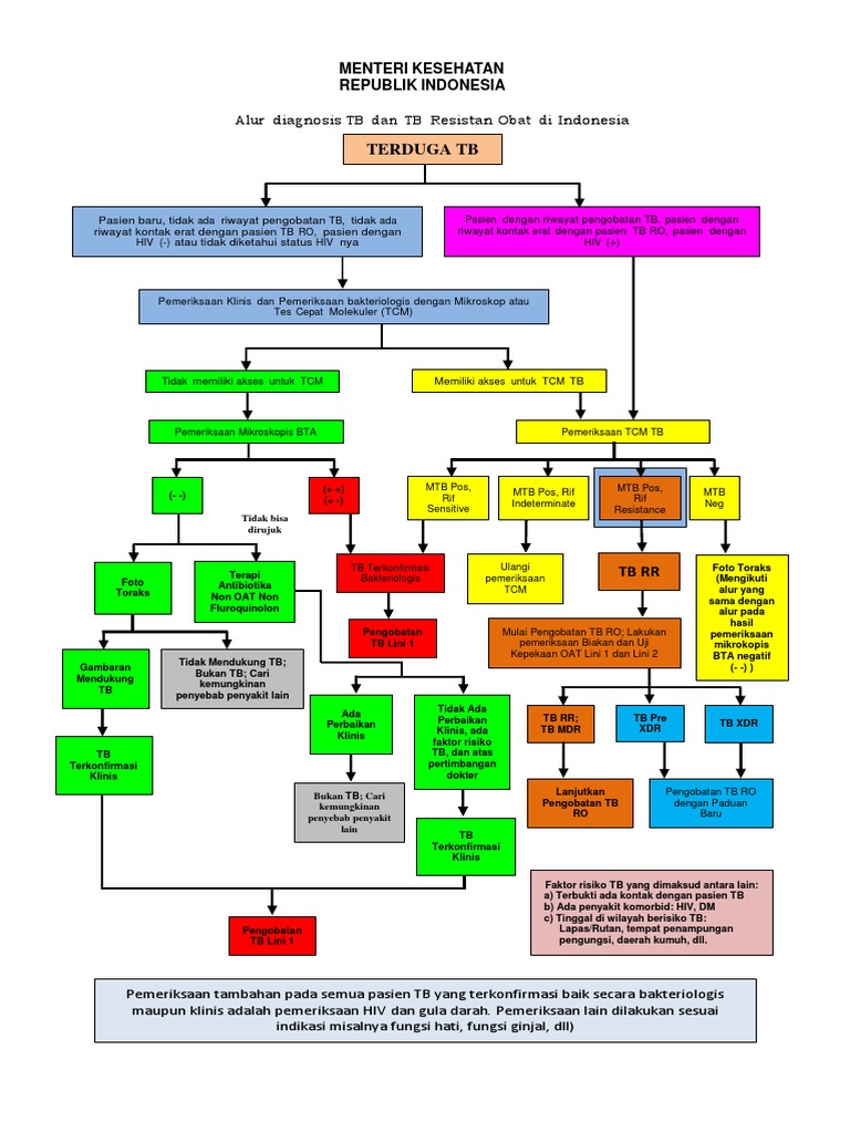 Alur TB 2017 PDF | PDF