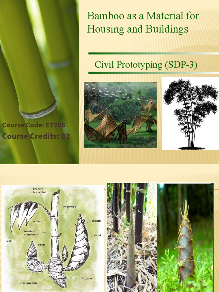 On Bamboo | PDF | Bamboo | Wood