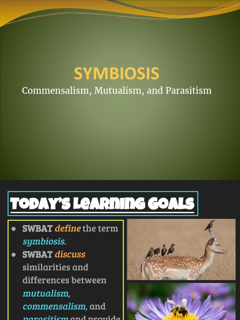 symbiosis | Symbiosis | Predation