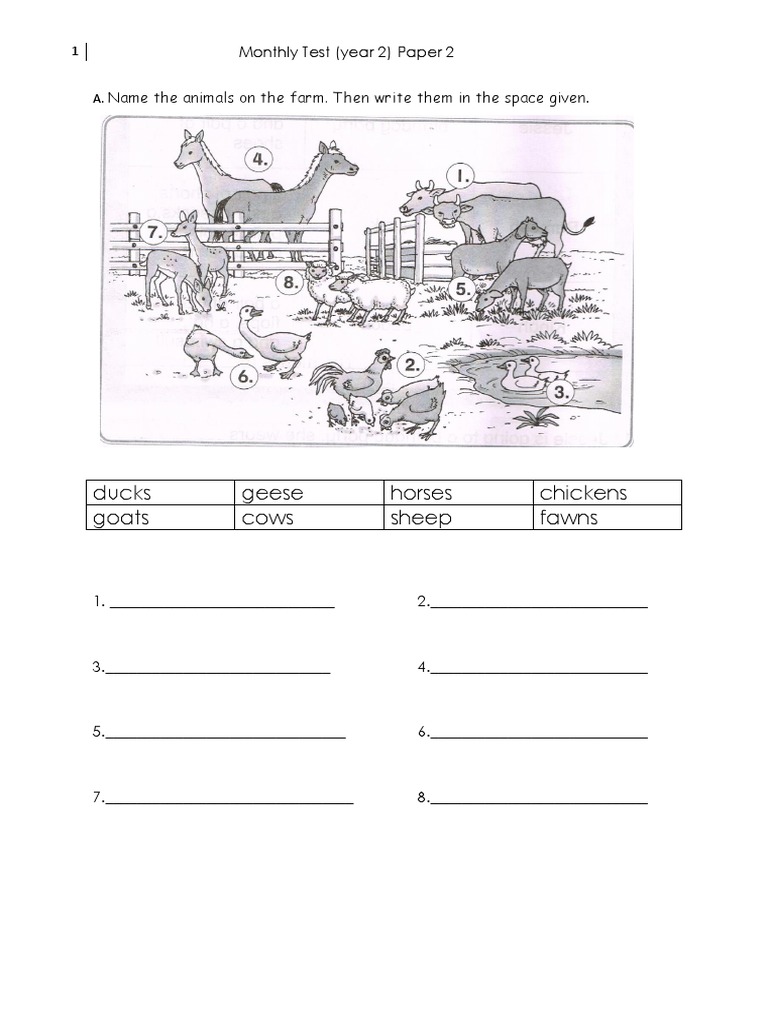 Paper 2 English Year 2 Monthly Test August 2016 | PDF | Sweater | Clothing