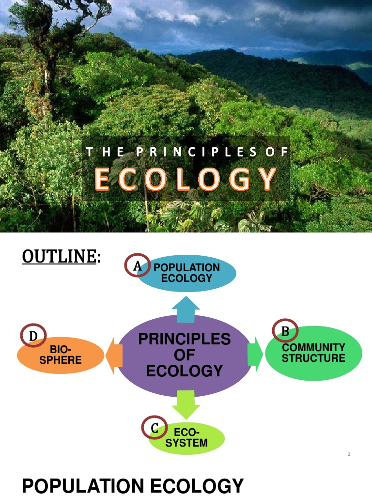 Principles of Ecology Overview | PDF | Food Web | Ecosystem