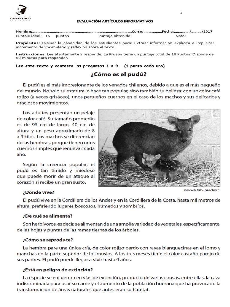 Texto informativo sobre el pudú chileno | PDF | Ciervo | Naturaleza