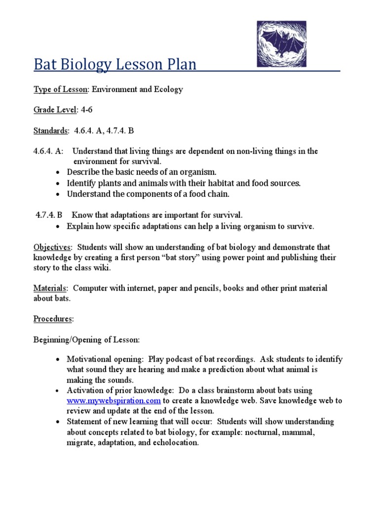 Bat Lesson Plan | PDF | Bat | Creativity