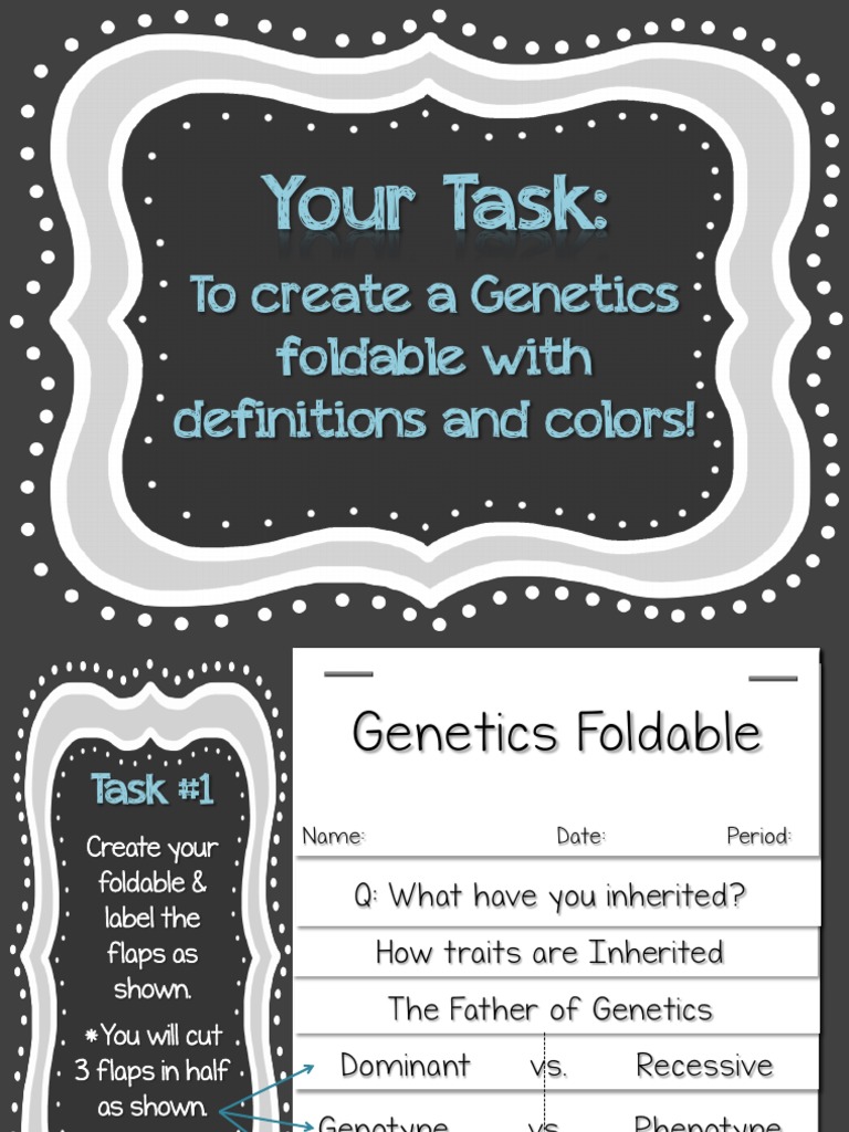 Genetics Foldable Task Cards | Download Free PDF | Heredity ...