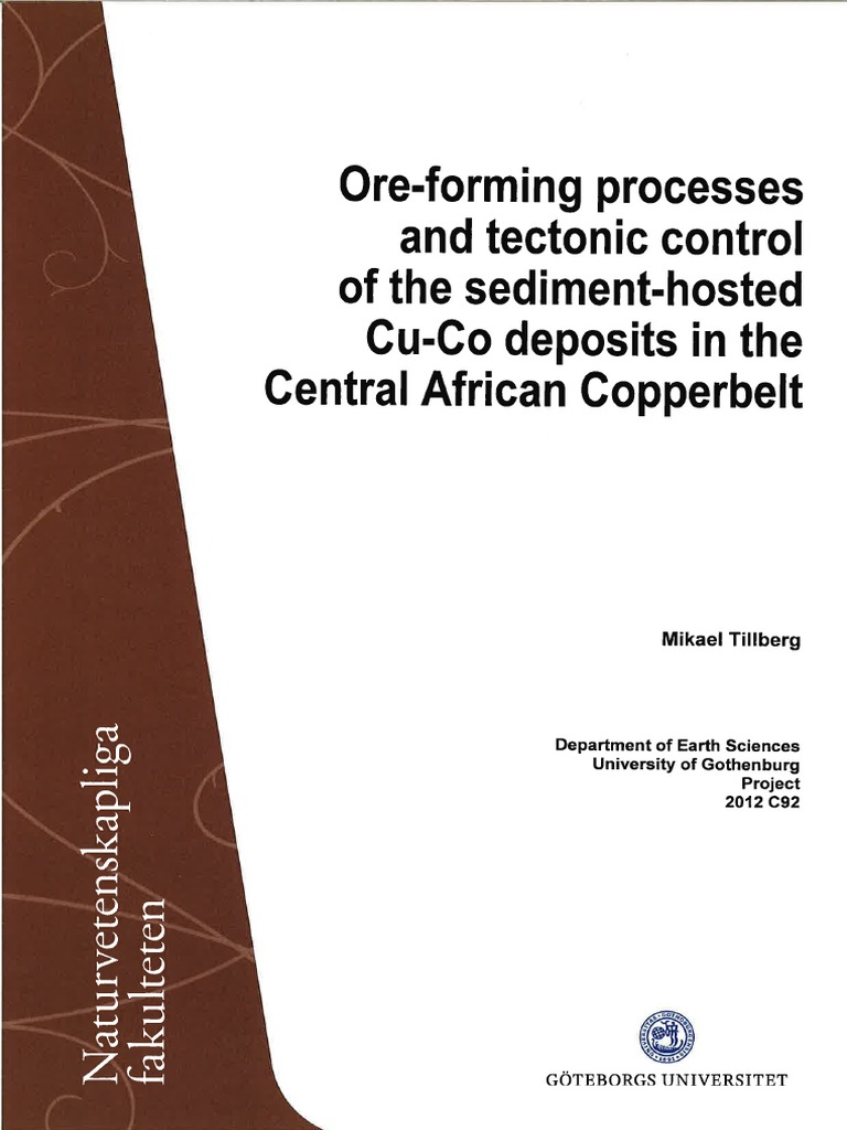 Unraveling the Complex Ore-Forming Processes of the Giant Sediment ...