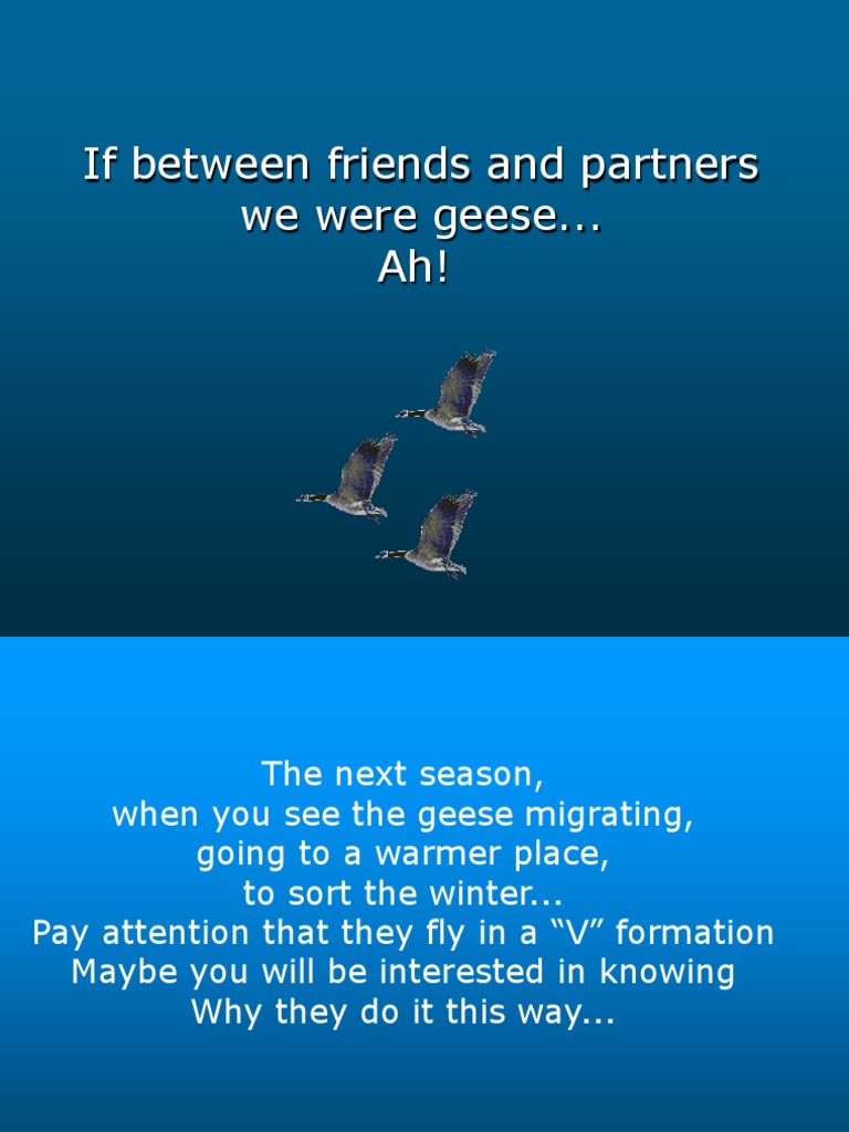 Teamwork - Flying Geese Model | PDF | Behavioural Sciences | Psychology