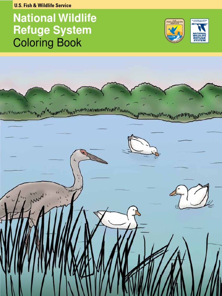 Coloring Book: National Wildlife Refuge System | PDF | Wildlife | Habitat