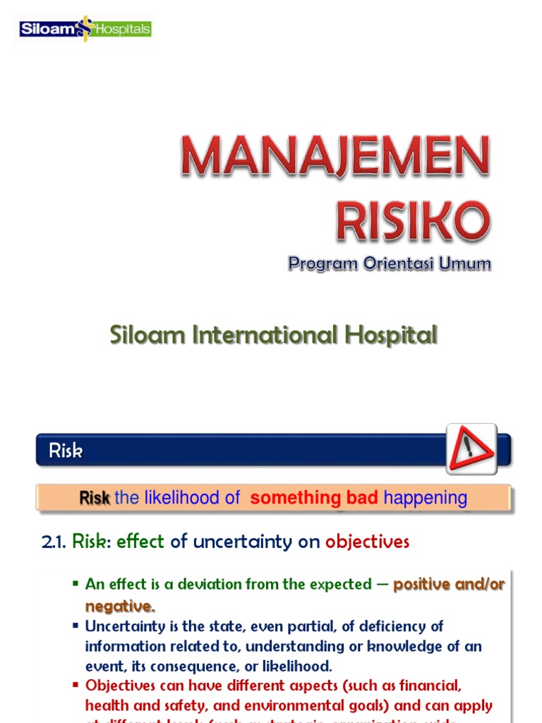 Risk Management POU | PDF