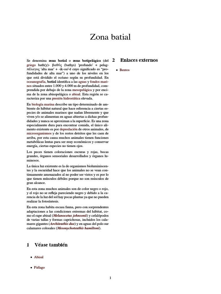 Características de la zona batial | PDF | Océanos | Hidrografía