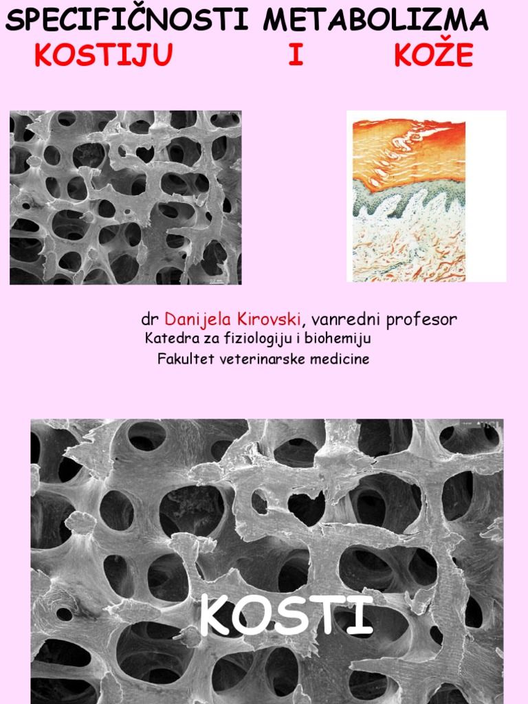 Metabolizam Kostiju I Koze | PDF