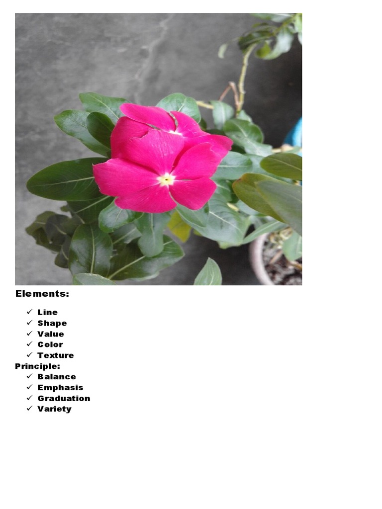 Art Elements and Principles Guide | PDF