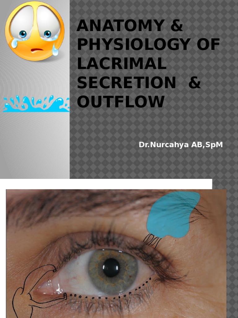 Anatomy & Physiology of Lacrimal Secretion & Outflow: DR - Nurcahya Ab ...