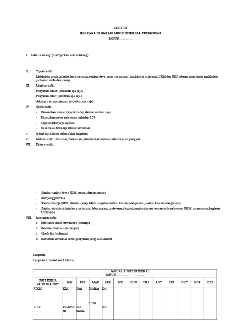 Contoh Rencana Audit Internal Puskesmas | PDF