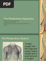 Chapman Points Table | PDF | Anatomical Terms Of Location | Neck
