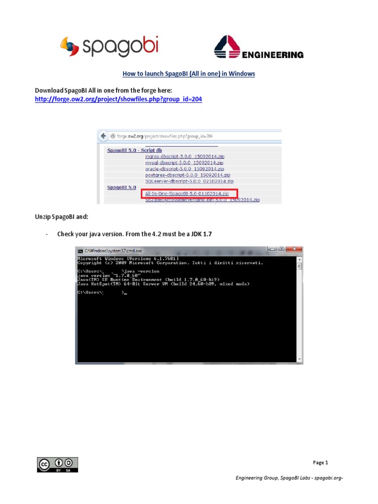 Launch SpagoBI on Windows Guide | PDF
