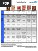 NHS Fife Assessment Chart For Wound Management | PDF | Wound | Clinical ...