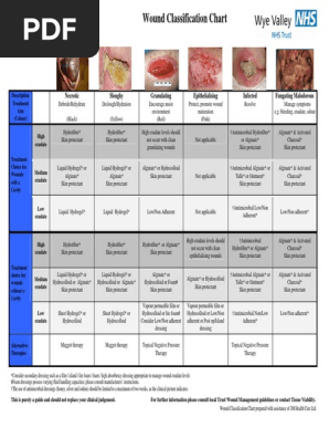 Classification Of Wounds