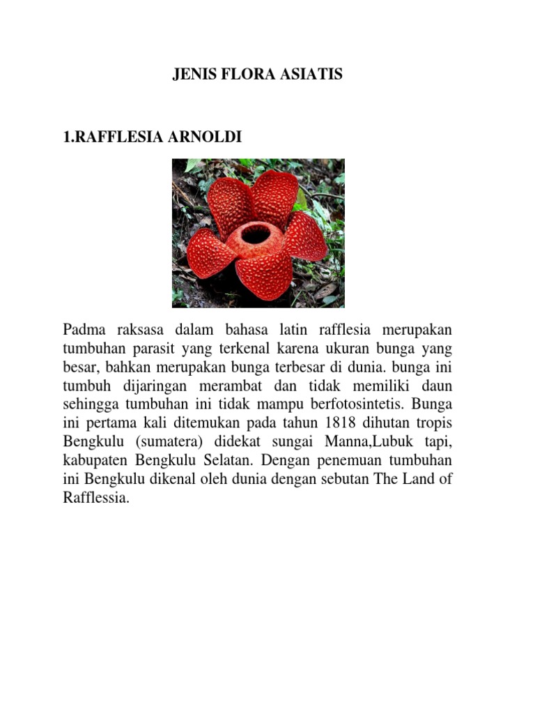 Jenis Flora Asiatis | PDF