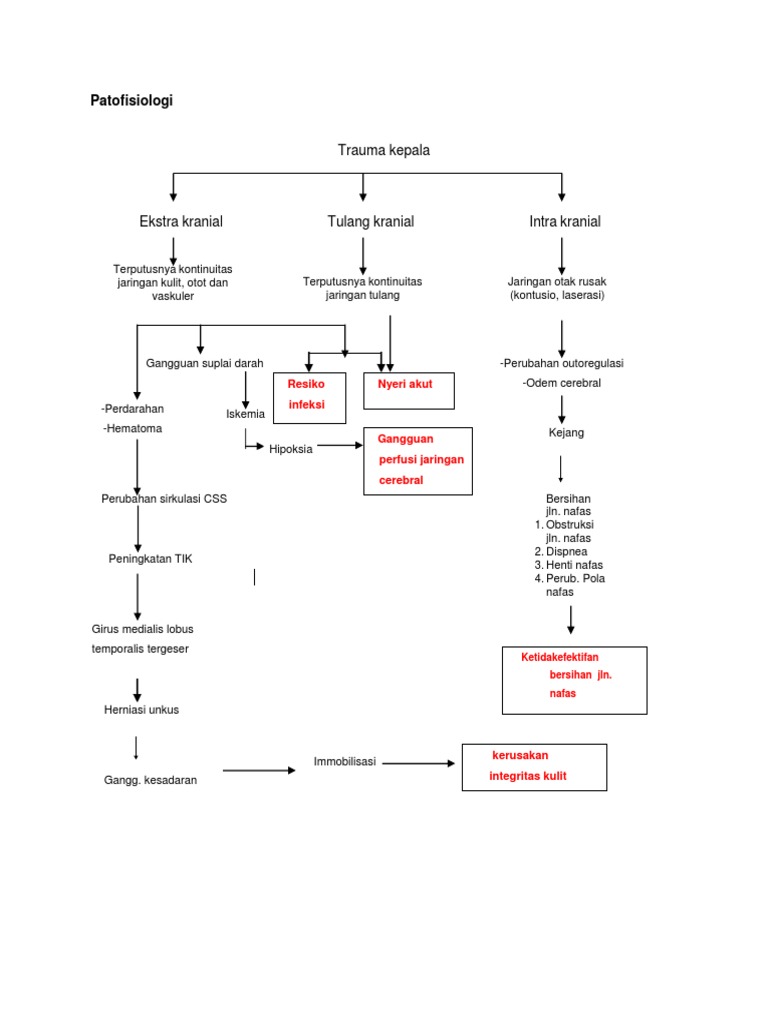 Pathway Trauma Capitis | PDF