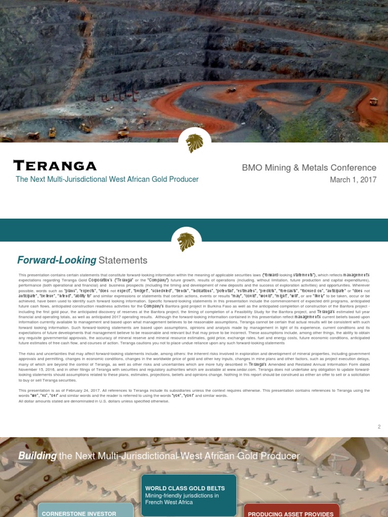 Teranga Gold's Growth Strategy Overview | PDF | Net Present Value ...