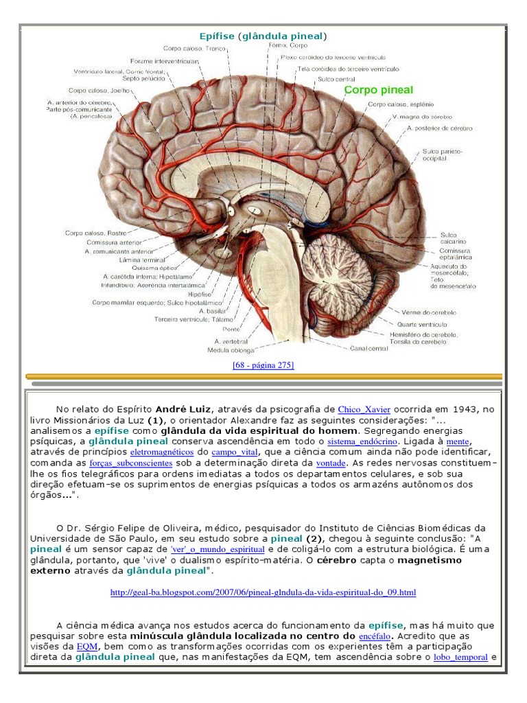 Epífise - Pineal | PDF | Espírito | Olho