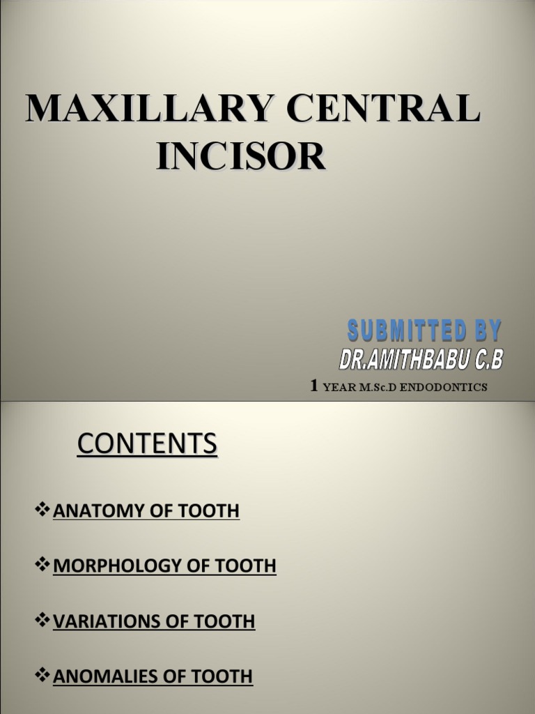 11 - Central Incisor | PDF | Human Head And Neck | Dental Anatomy