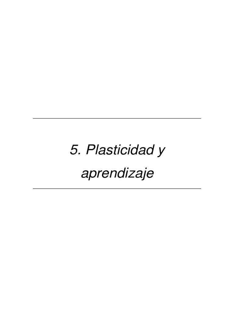 4.plasticidad y Aprendizaje PDF | PDF