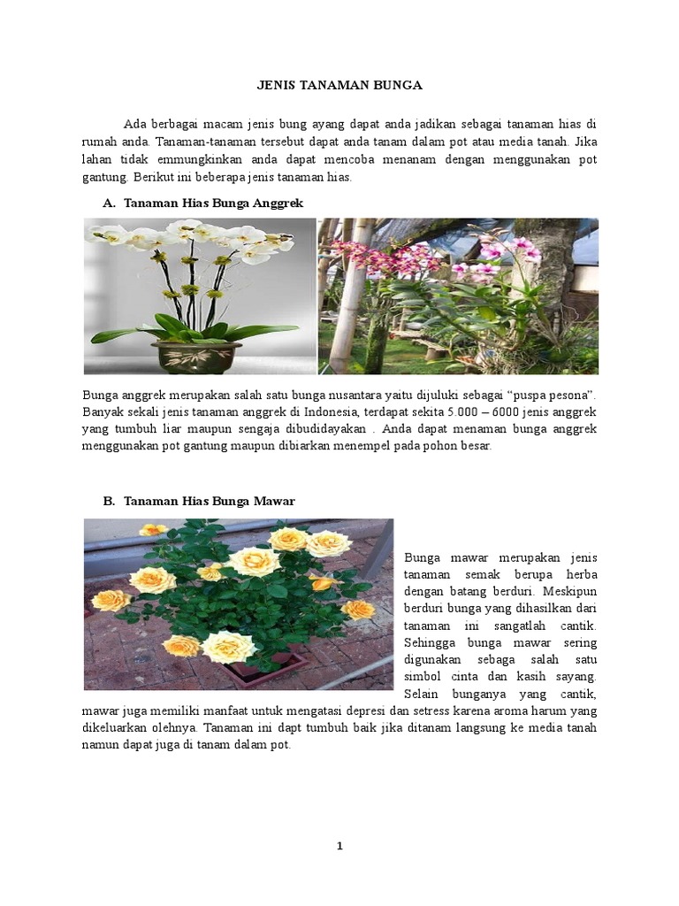 Jenis Tanaman Bunga | PDF