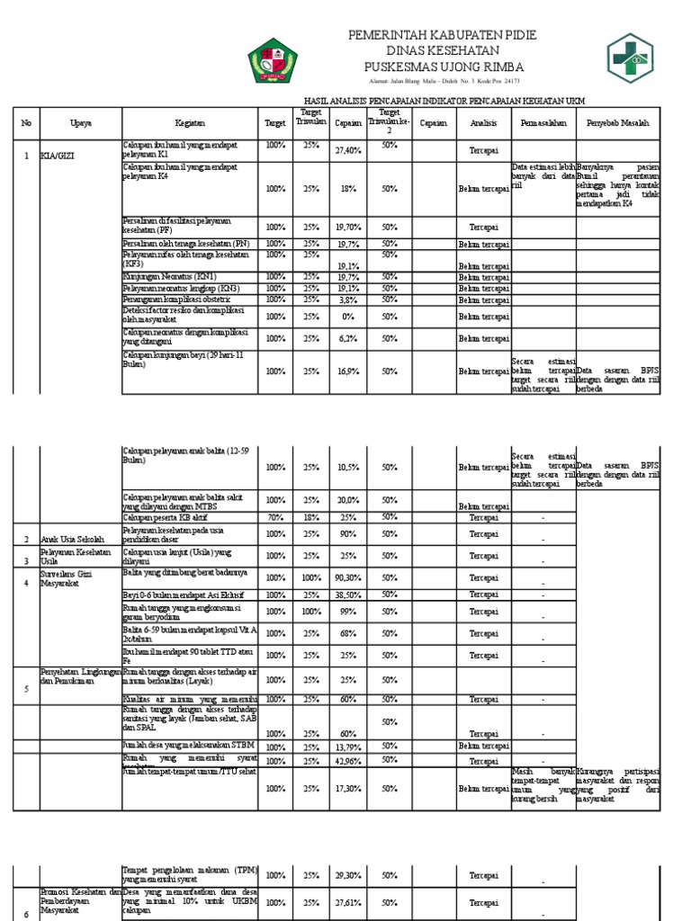 Hasil Analisis Pencapaian Indikator Pencapaian Kegiatan Ukm | PDF
