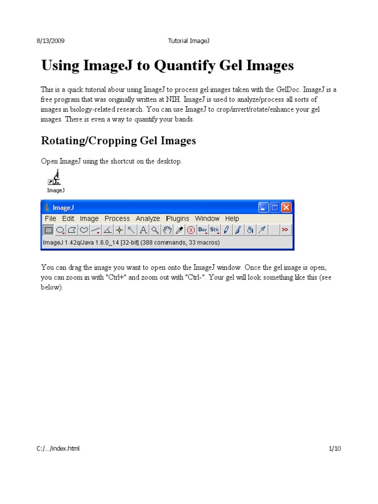 Using Imagej To Quantify Gel Images | PDF