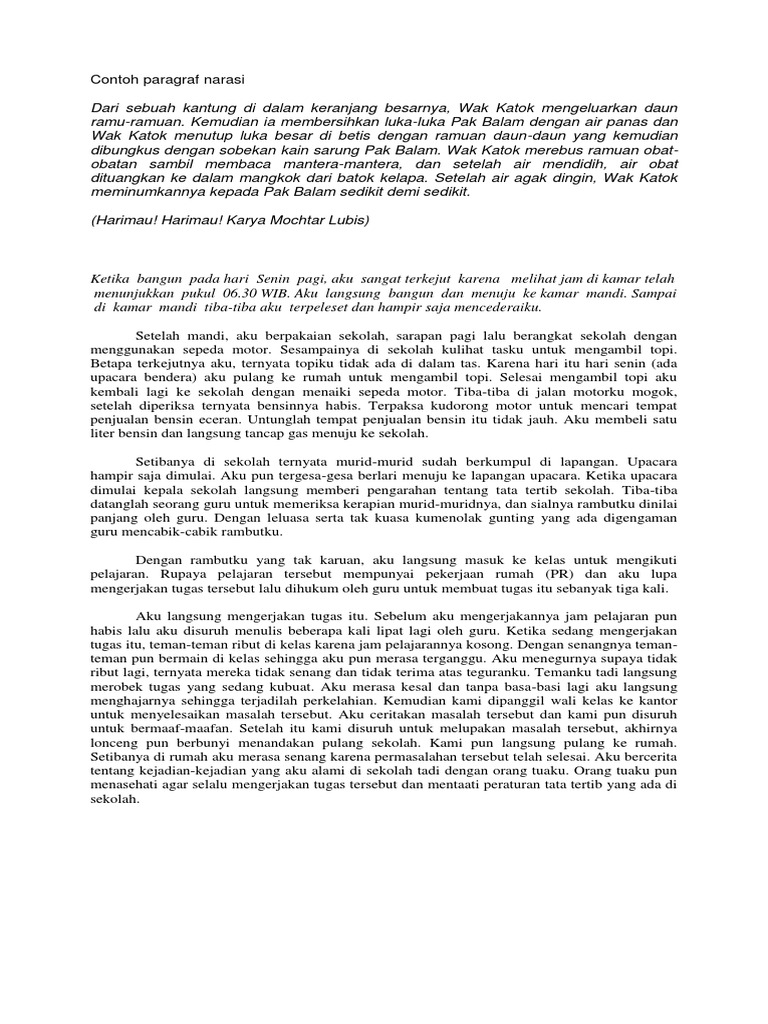 Contoh Paragraf Narasi | PDF