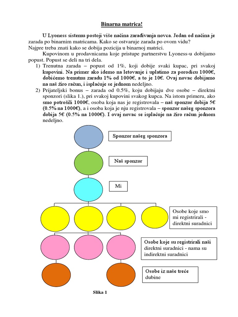 Binarna Matrica - Sa Slikama | PDF