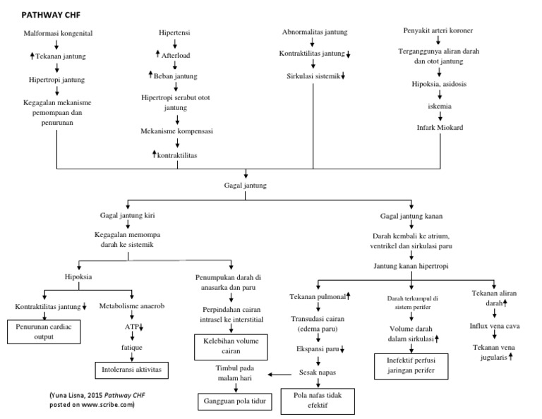 Pathway CHF | PDF