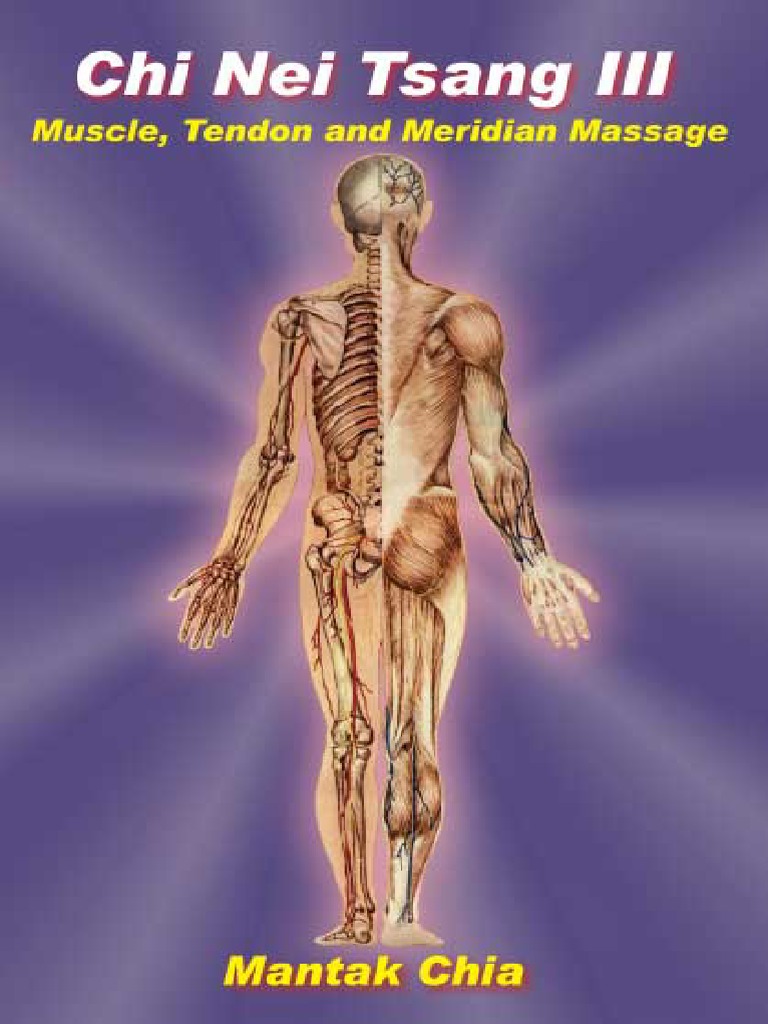 Chi Nei Tsangi 3 - Internal Organs Chi Massage PDF | PDF | Soft Tissue ...