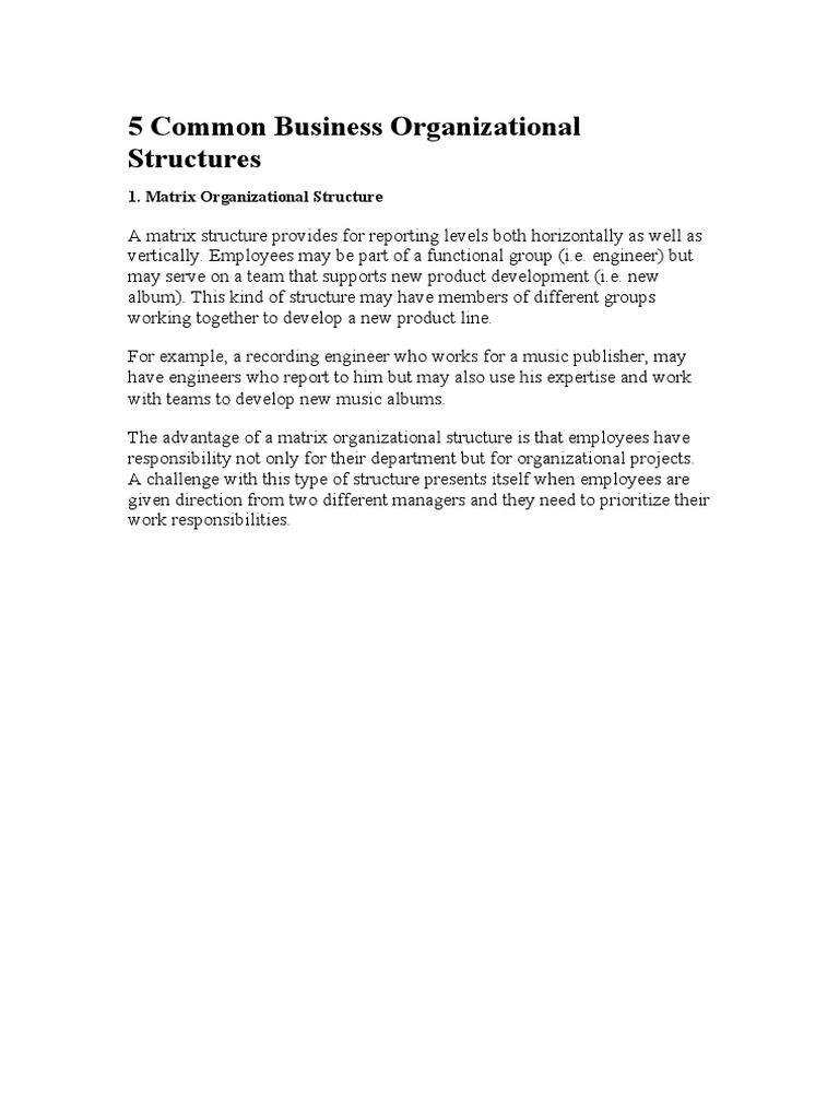 Business Structure Basics 21 | PDF