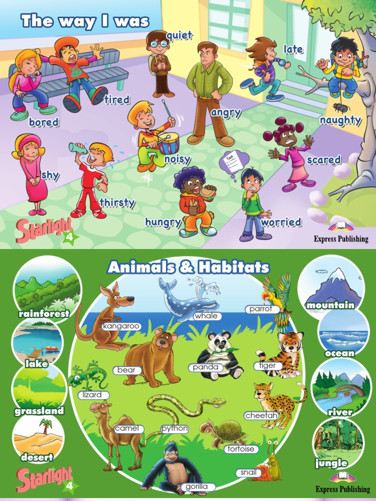 Starlight 4 POSTERS | PDF | Cuisine | Foods