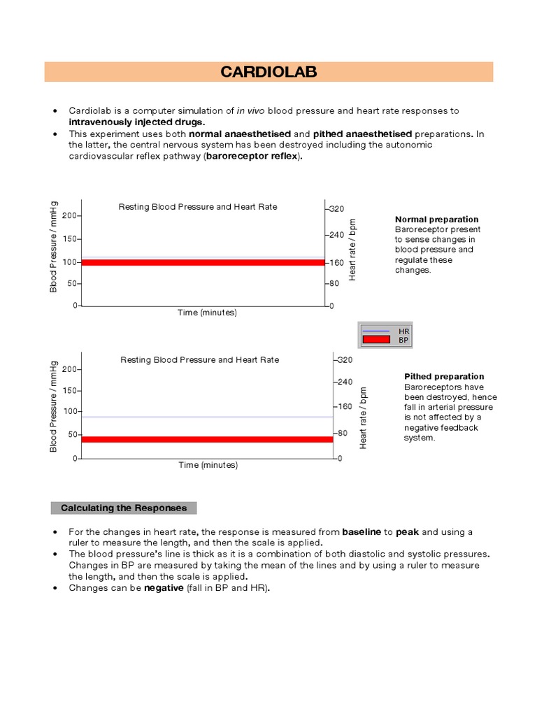 Cardiolab Notes | PDF | Smooth Muscle Tissue | Heart Rate