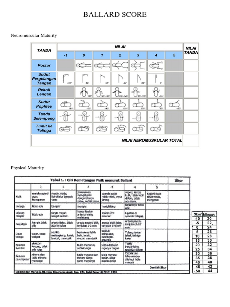 Ballard Score: Neuromuscular Maturity | PDF